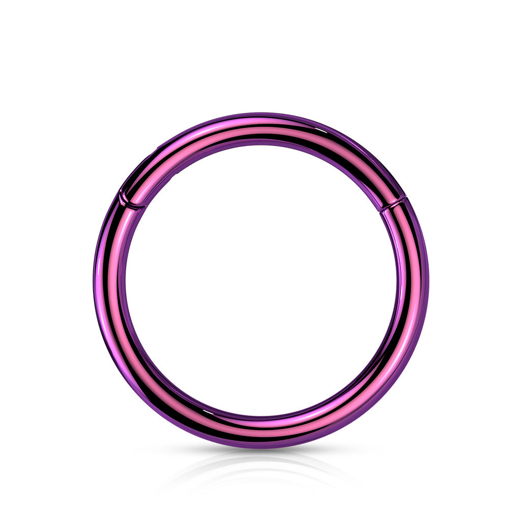 Purple Implant Grade Titanium Hinged Segment Ring (20g-18g) – Highness